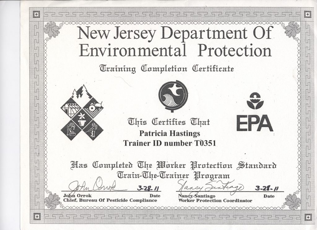 PDH T3 Certificate 001